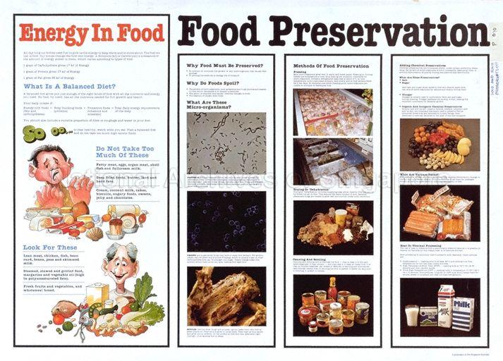 Food and preservation (Life Science Series 16)