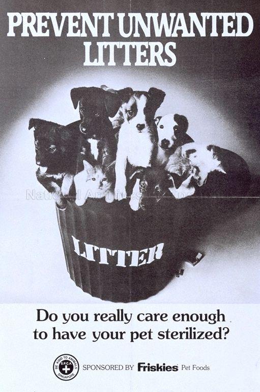 Prevent unwanted litters : Do you really care enough to have