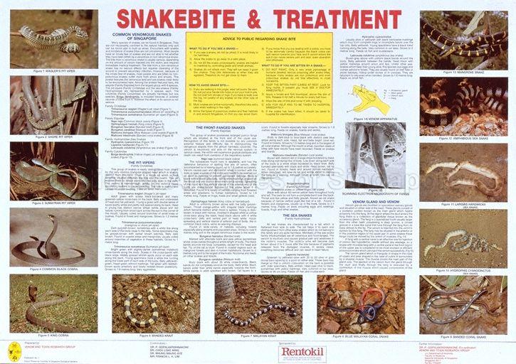 Snake bite and treatment