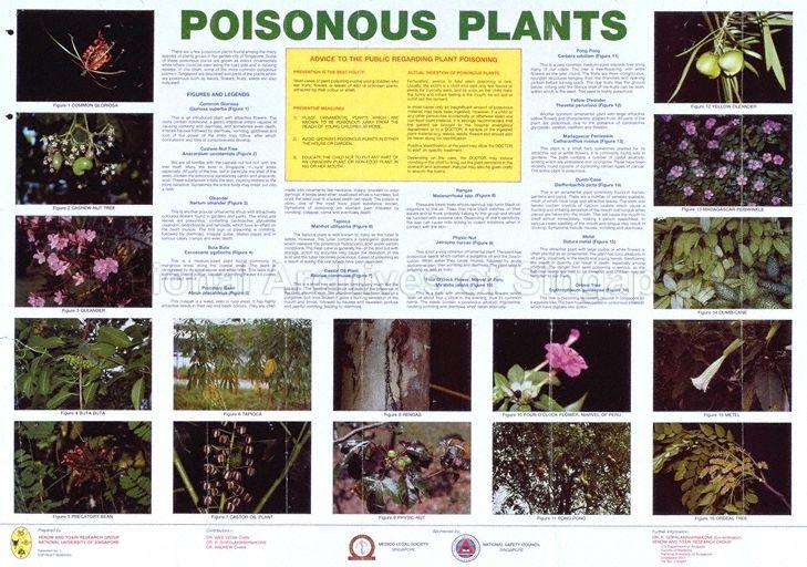 Poisonous Plants